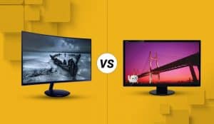 Curved vs. Flat Monitors: Things to Know Before Buying a Monitor
