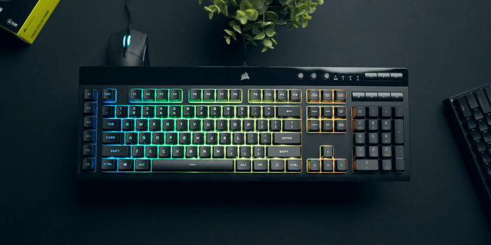 How to Choose the Right Keyboard Size? - Guide - GPCD