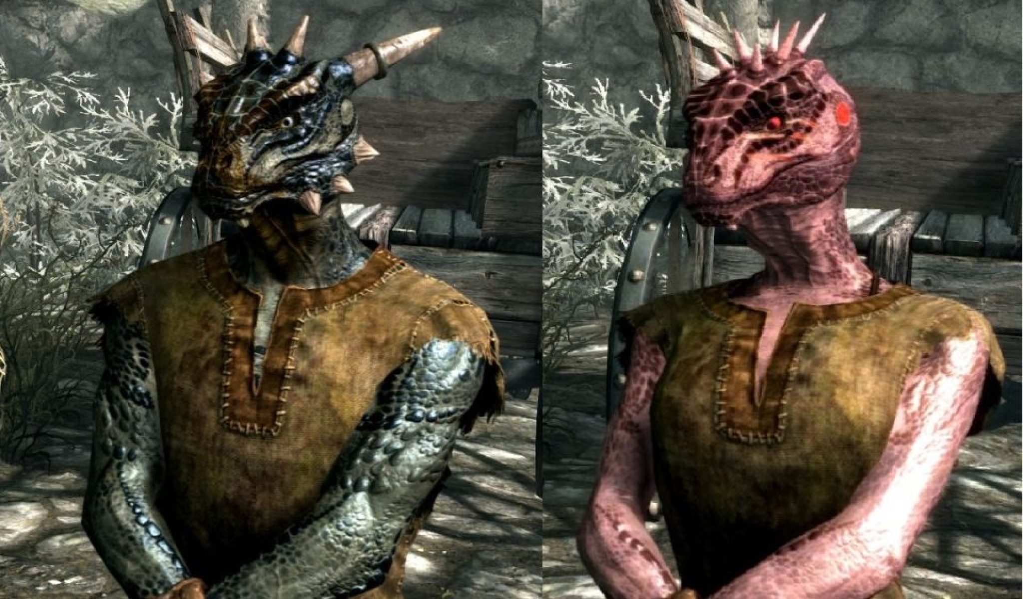 10 Best Races For Beginners in Skyrim - GPCD