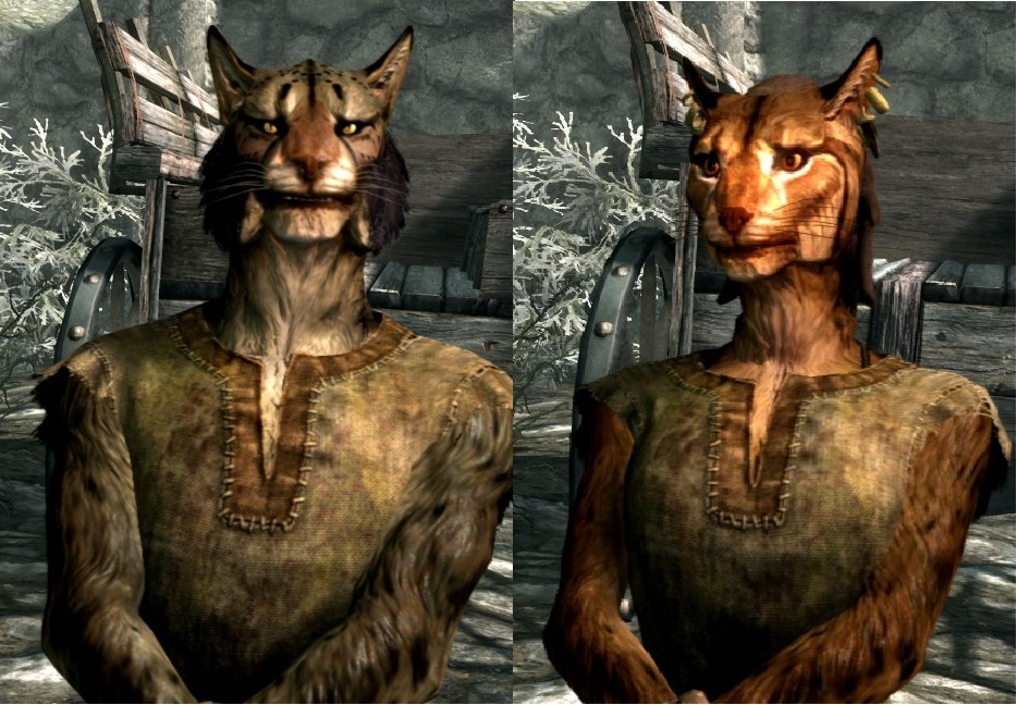 10 Best Races For Beginners in Skyrim - GPCD